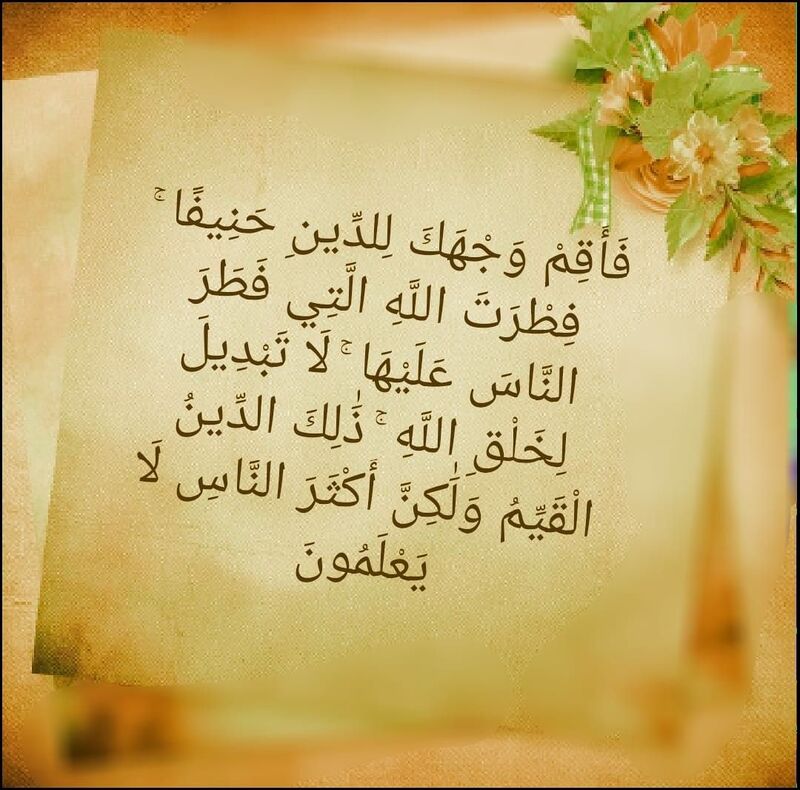 Qur'an 30:30 - wikishia